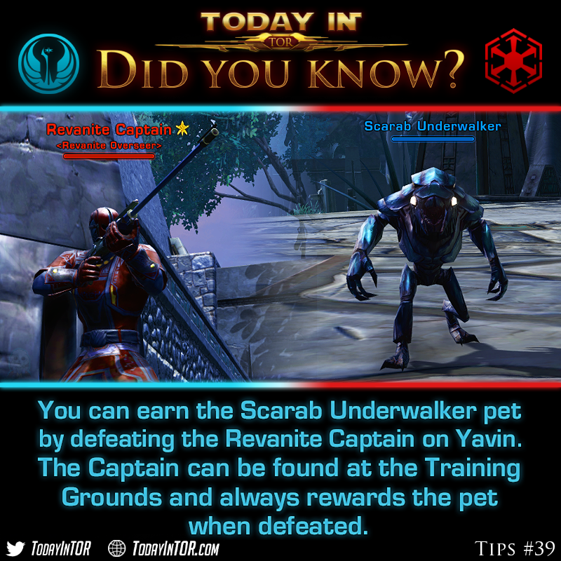 SWTOR Scarab Underwalker Pet | Today in TOR